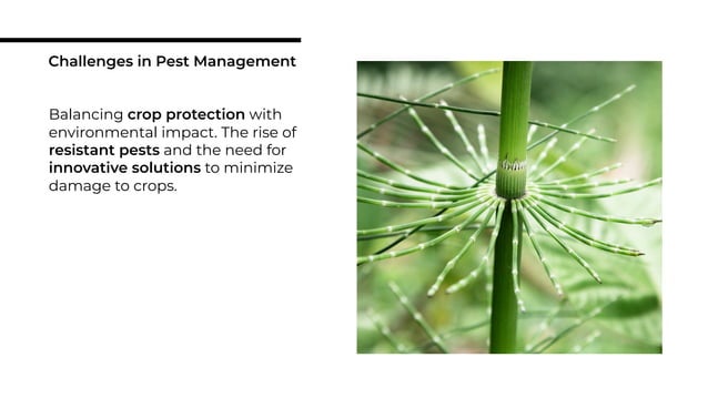 Implementing Integrated Pest Management Strategies for Sustainable Agriculture in 2024.pdf