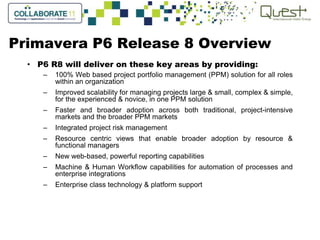 Implementing primavera enterprise project management in discrete ...