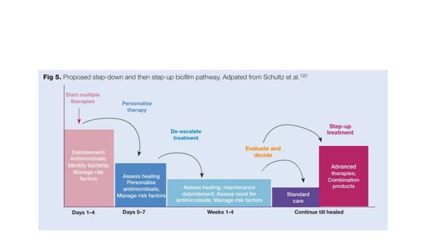 Implementing TIMERS Concept in Real Practice for Hard to Heal Wound ...