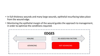 Implementing TIMERS Concept in Real Practice for Hard to Heal Wound ...