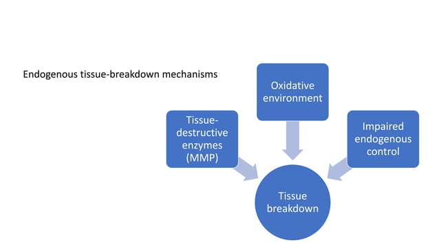 Implementing TIMERS Concept in Real Practice for Hard to Heal Wound ...