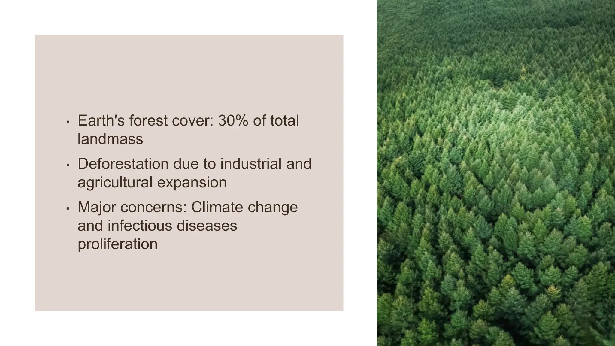Implications of Deforestation on Environment and Health | PPTX