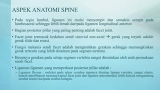 Implikasi Biomekanik Spine dalam Manual Therapy | PDF