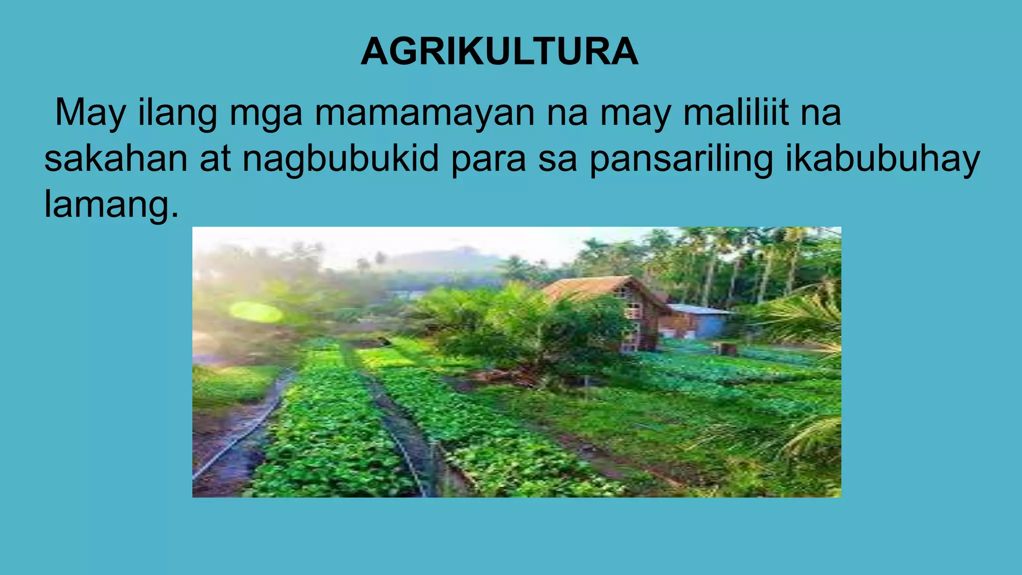 Implikasyon ng Likas na Yaman sa Pamumuhay ng mga ASYano.pptx
