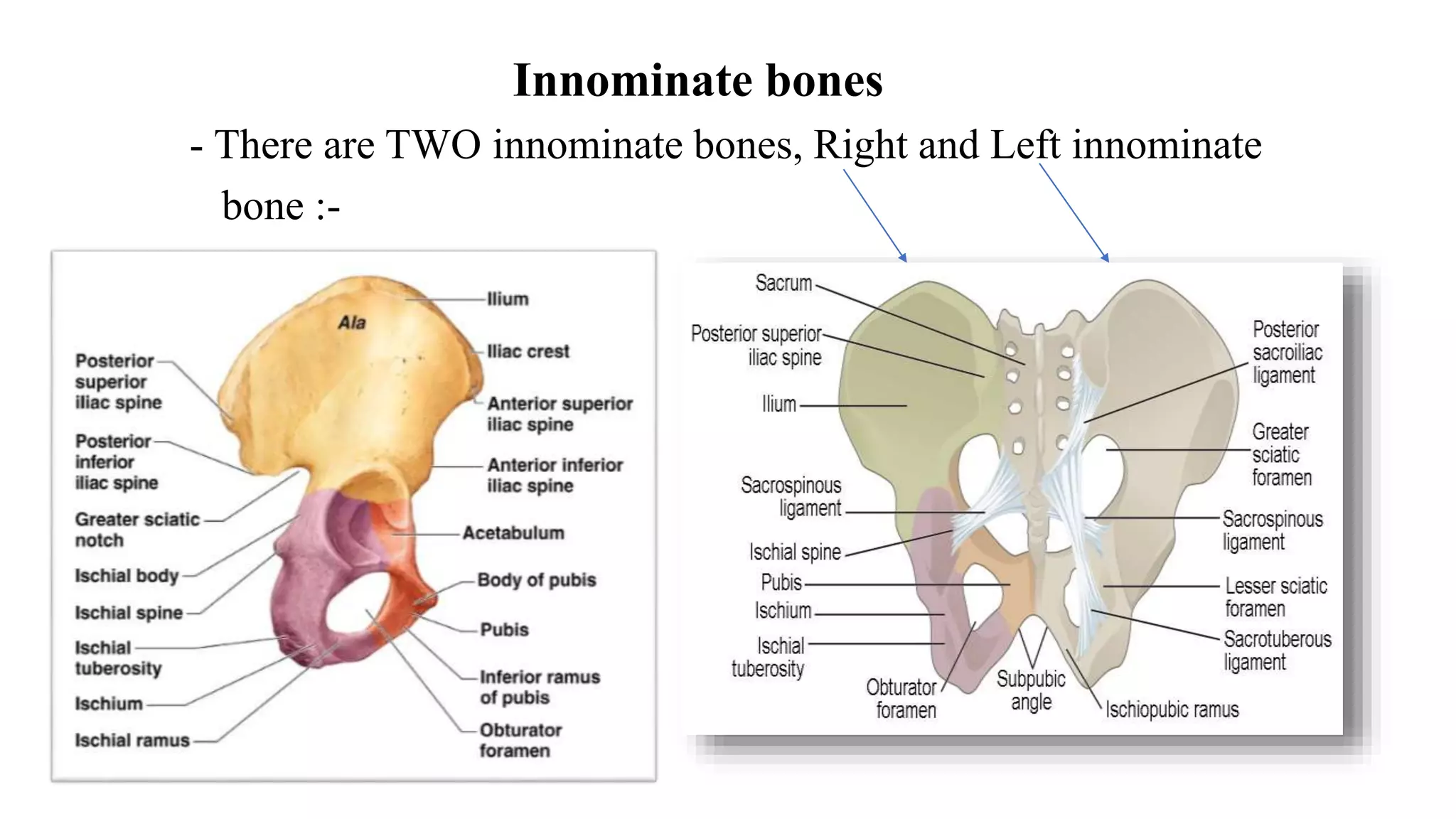 Imp obstetrics and gyneacology nursing | PPTX