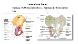 Imp obstetrics and gyneacology nursing | PPTX