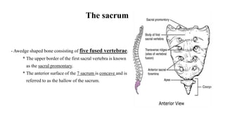 Imp obstetrics and gyneacology nursing | PPTX