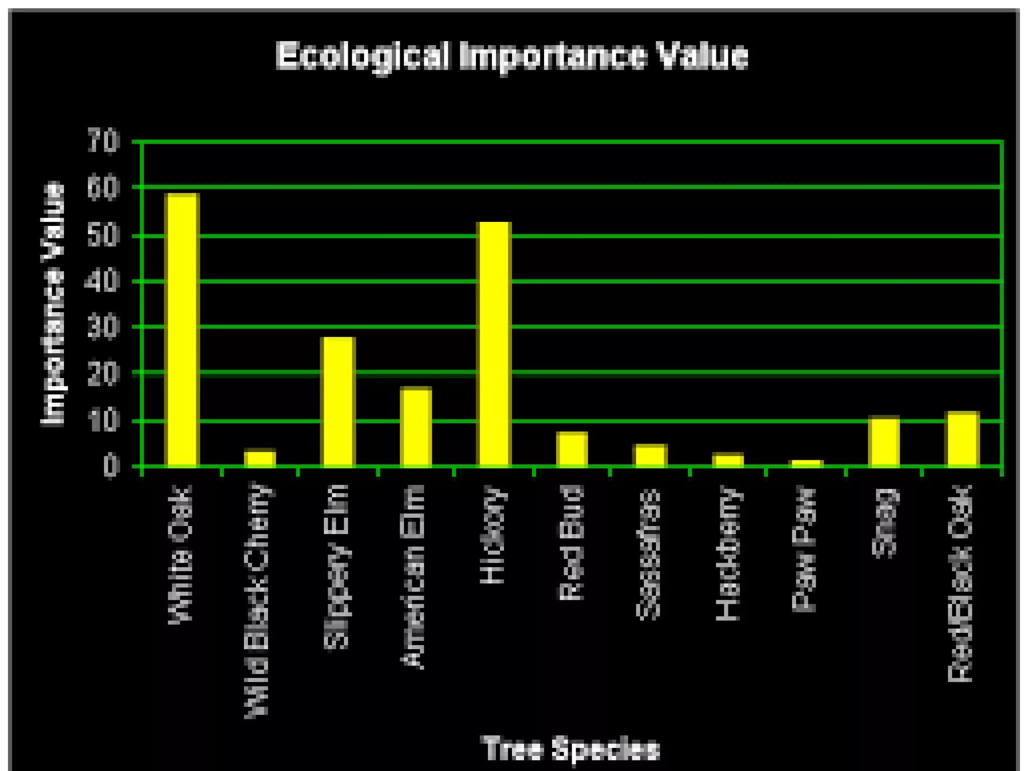 Important of forests | PPTX