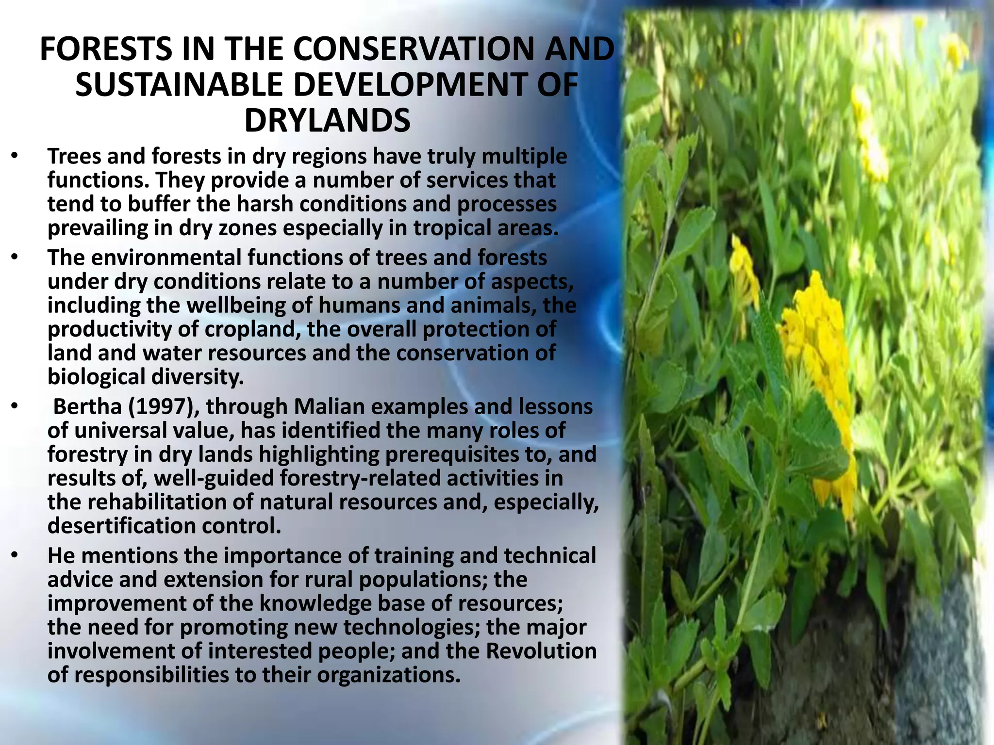 Important of forests | PPTX