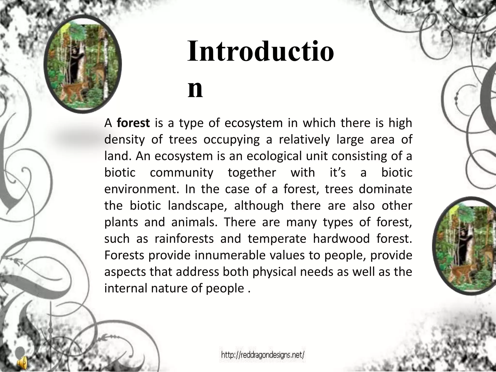 Important of forests | PPTX