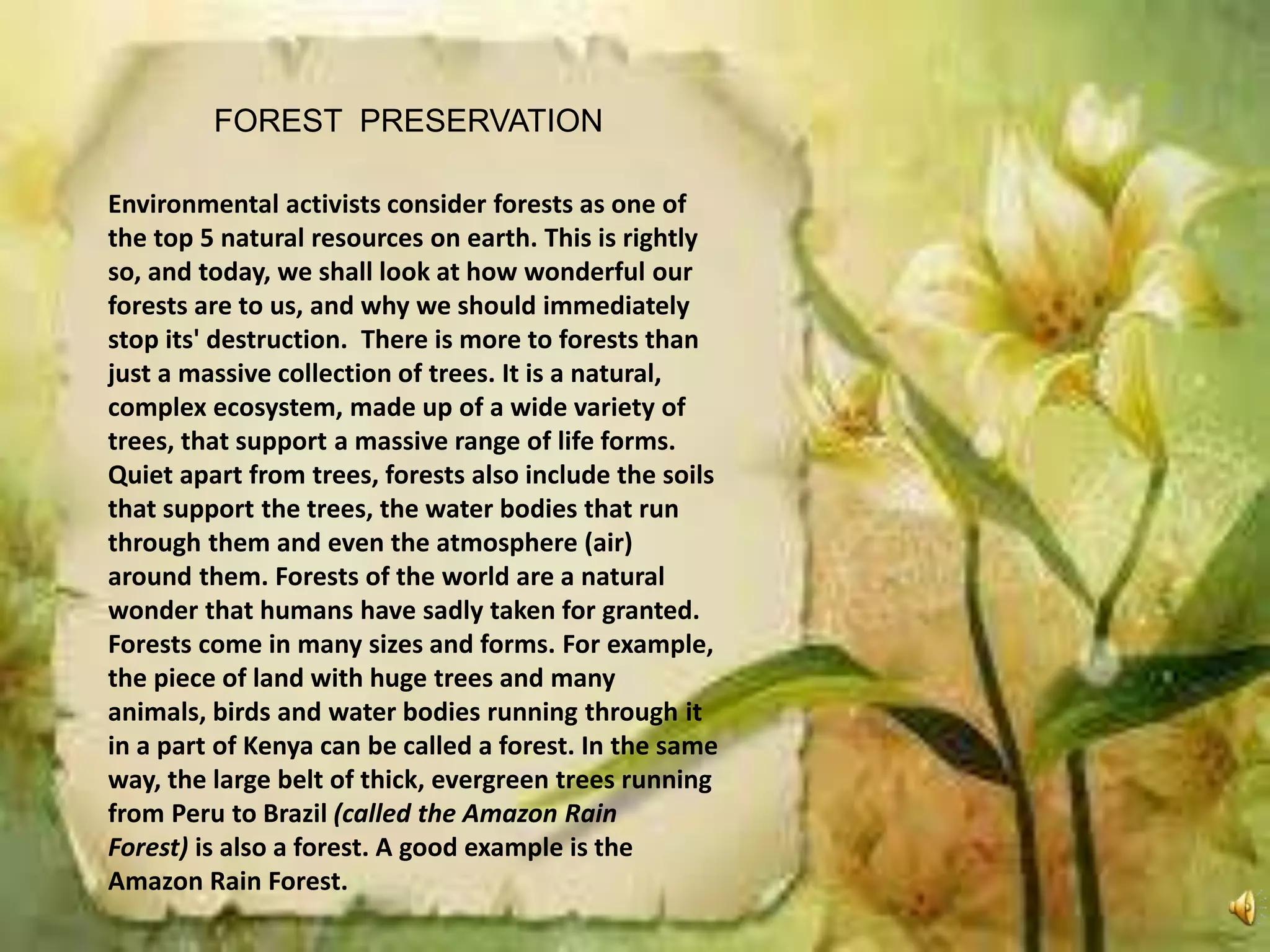 Important of forests | PPTX