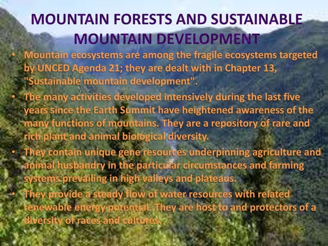 Important of forests | PPTX | Woodworking | Arts and Crafts