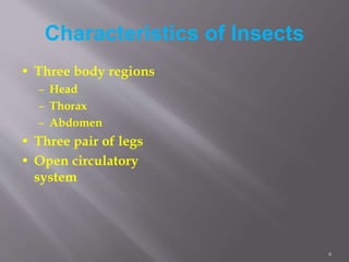 Imp of insects | PPT