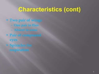 Imp of insects | PPT