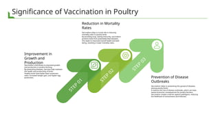 Importance of vaccination for long immunity in poultry.pptx