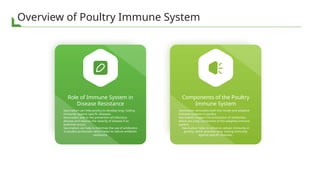 Importance of vaccination for long immunity in poultry.pptx