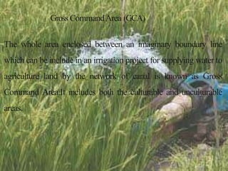 Imporatant deination of irrigation | PPTX