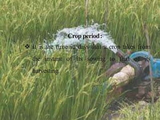 Imporatant deination of irrigation | PPTX