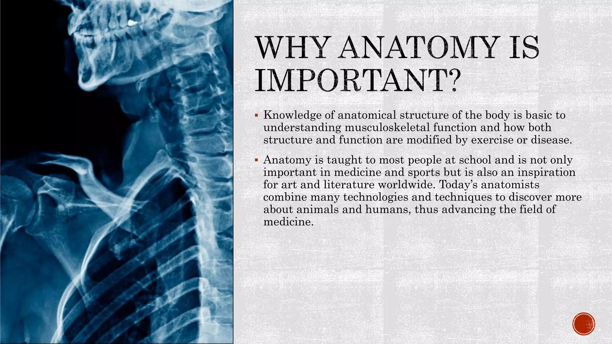 Importace of Anatomy and physiology .pptx | Biological Sciences | Science