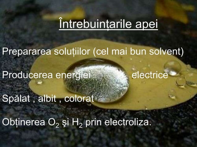 Importanța apei | PPTX
