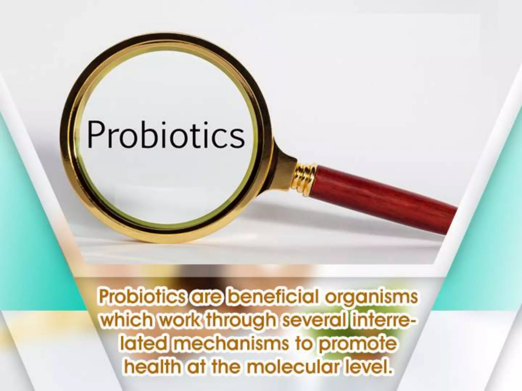Importance Of Probiotics In Human Health | PPT