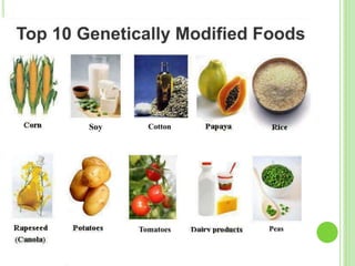 Applications Of Biotechnology In Food Processing
