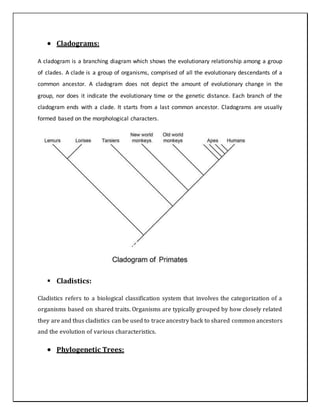 Importance and Applications of Systematics evolution | DOCX