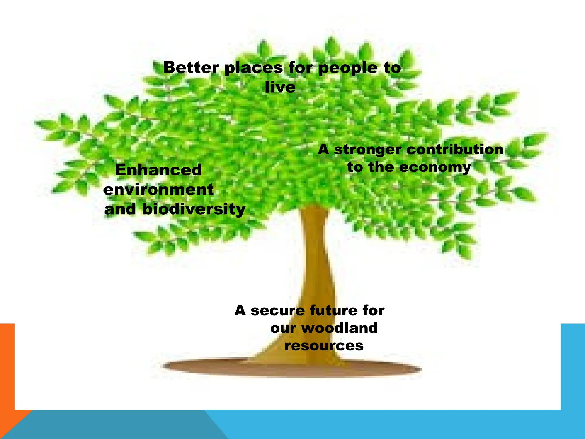 IMPORTANCE AND BENEFITS DERIVED FROM PLANTING TREES AND FRUIT TREES.ppt