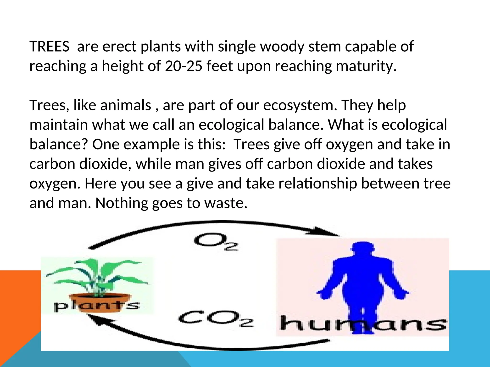 IMPORTANCE AND BENEFITS DERIVED FROM PLANTING TREES AND FRUIT TREES.ppt
