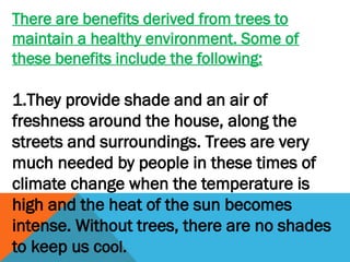 IMPORTANCE AND BENEFITS DERIVED FROM PLANTING TREES AND FRUIT TREES.ppt
