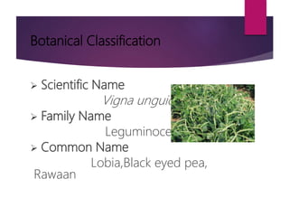 Importance and production technology of cowpea | PPTX