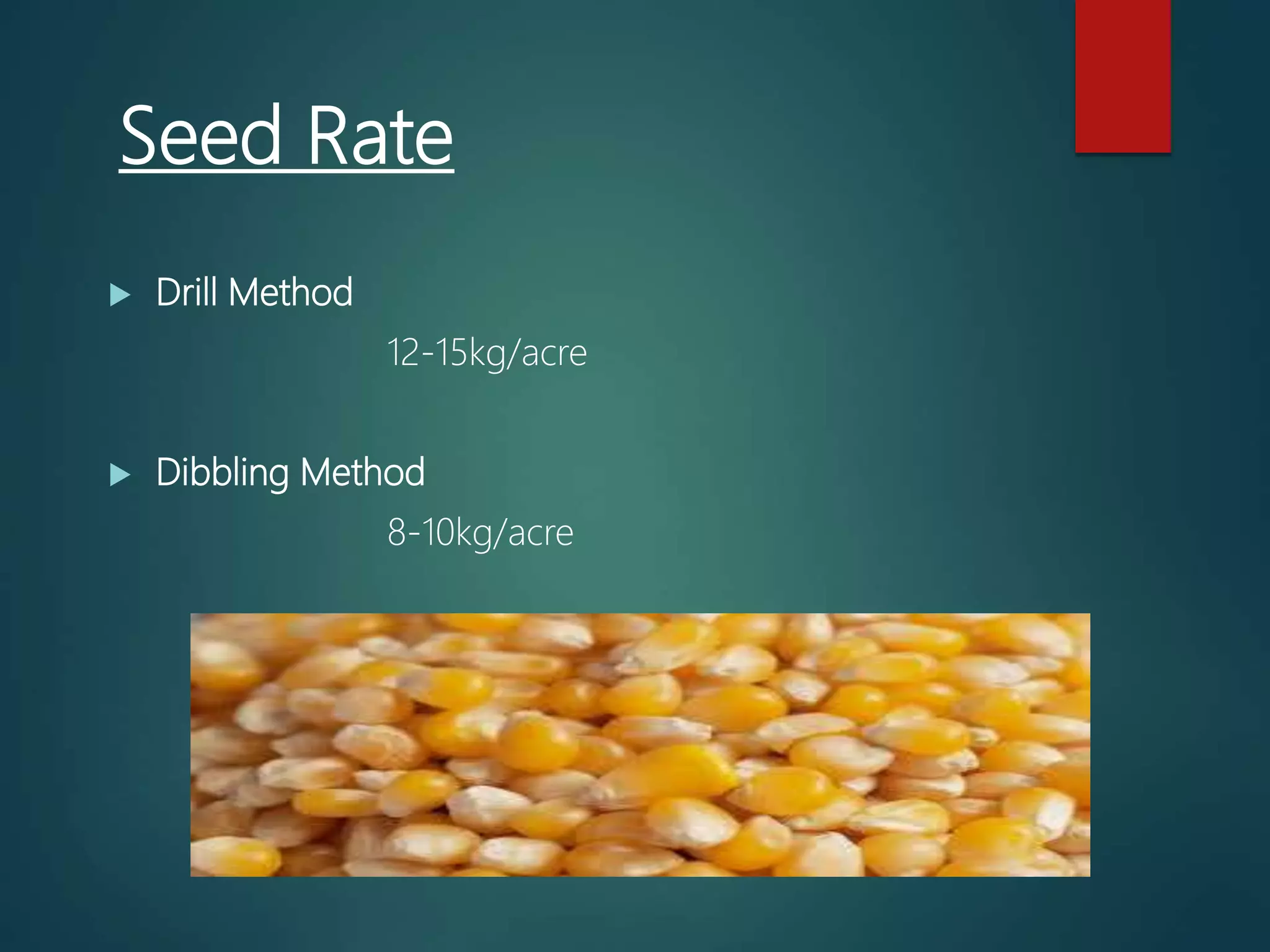 Importance and production technology of maize / | PPTX
