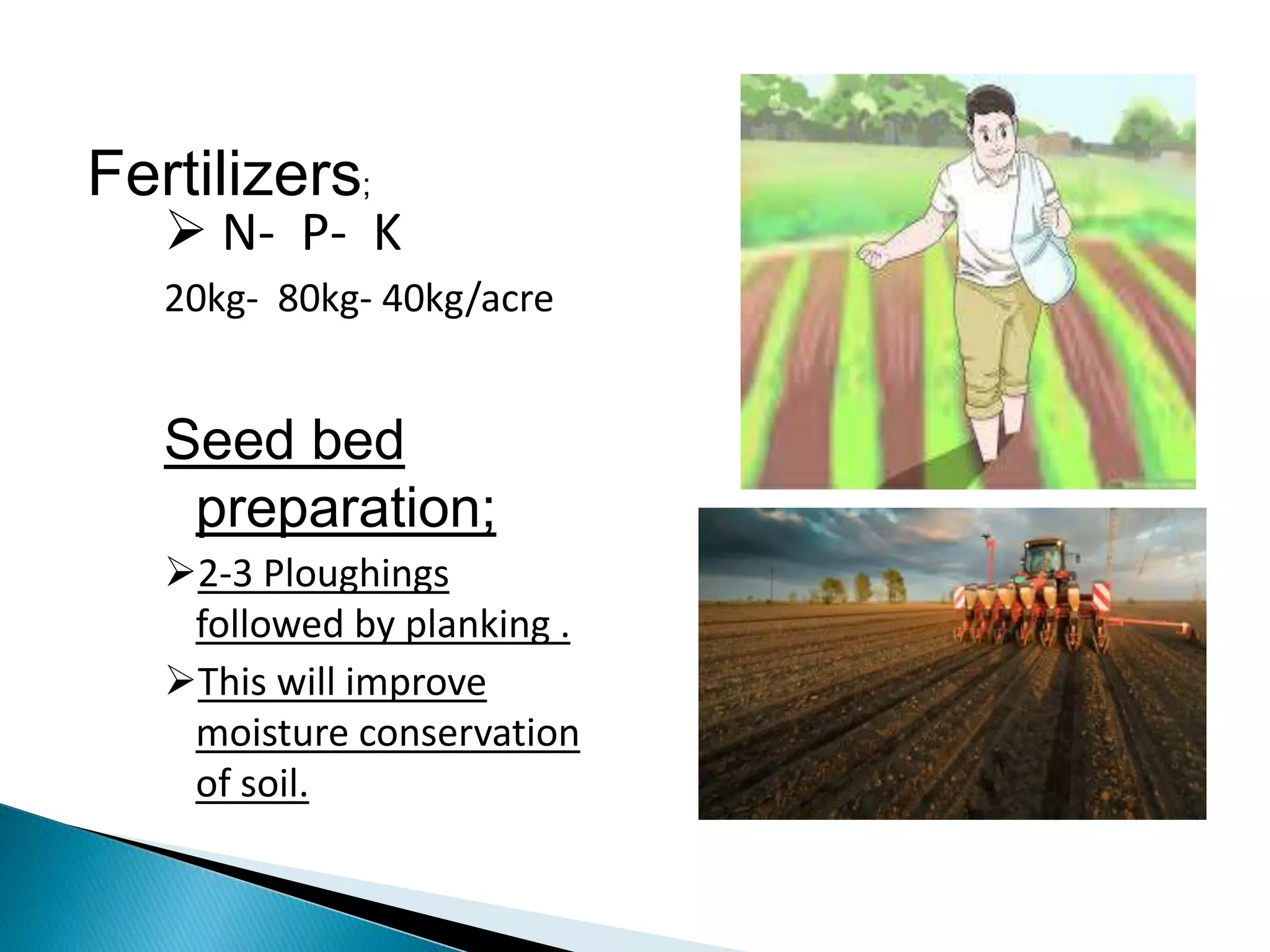 Importance and production technology of soyabean | PPTX