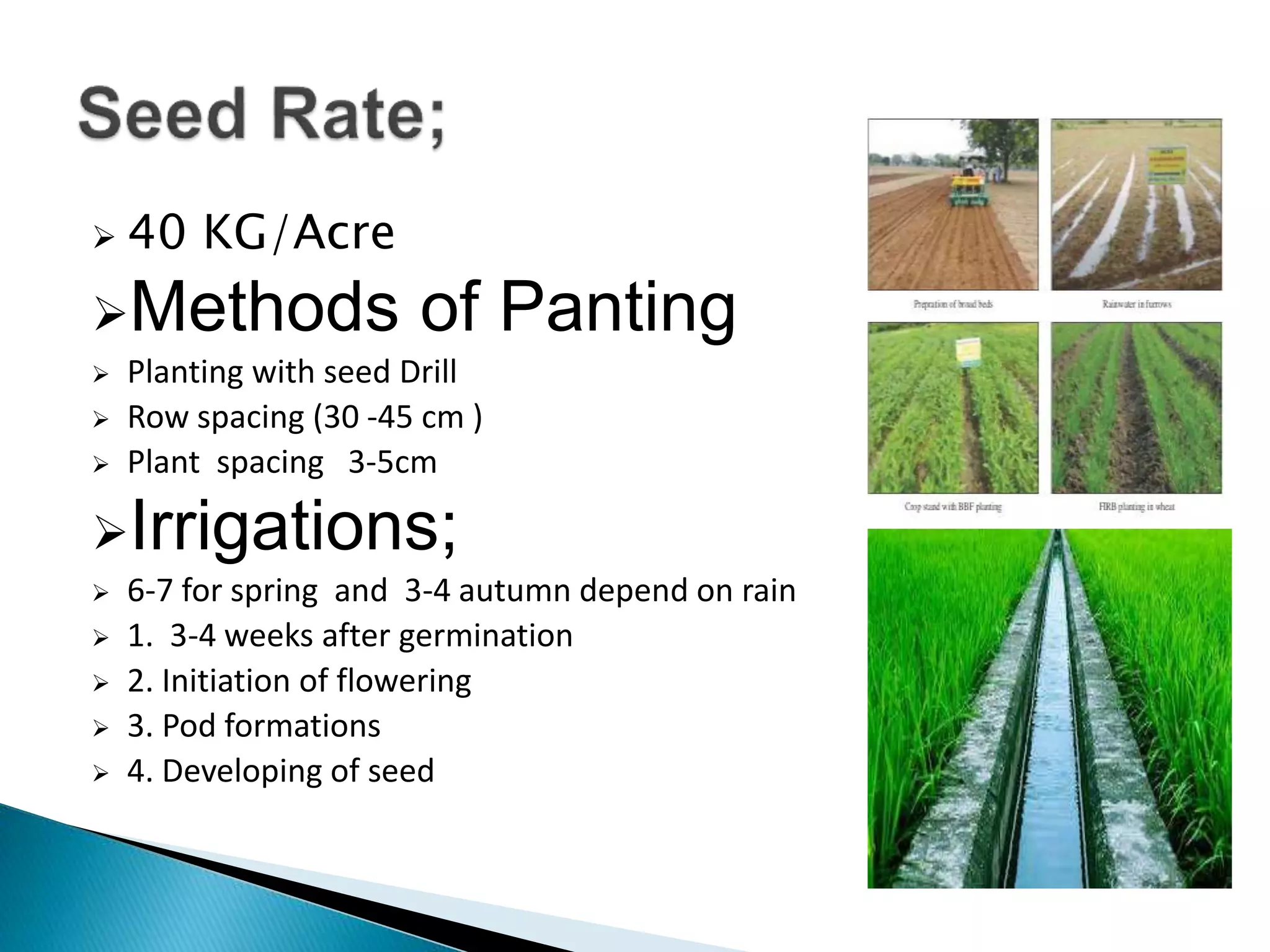 Importance and production technology of soyabean | PPTX