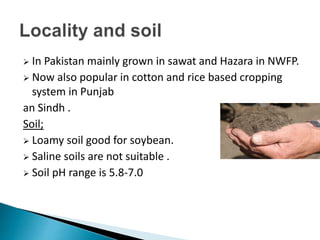 Importance and production technology of soyabean | PPTX