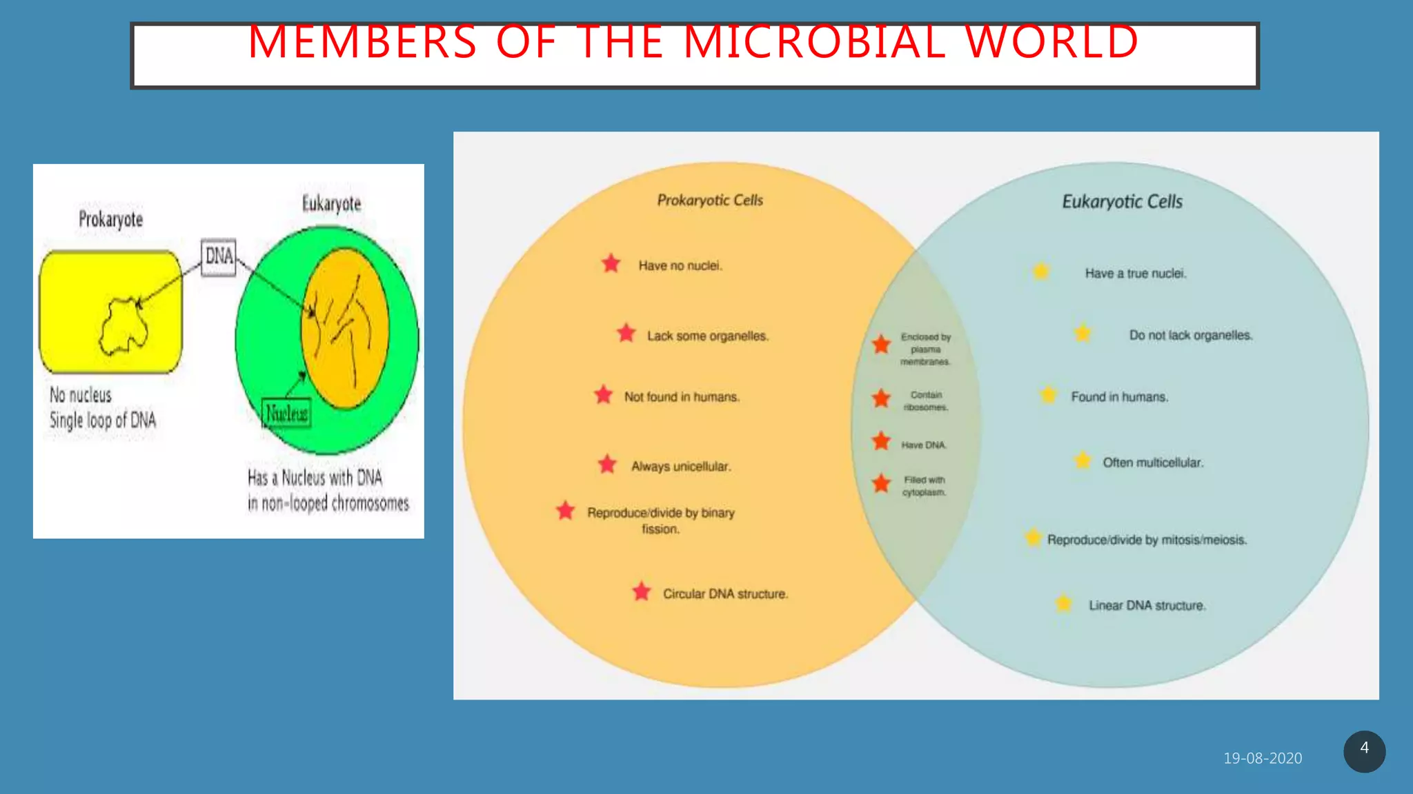 Importance and relevance of microbiology to nursing | PPTX