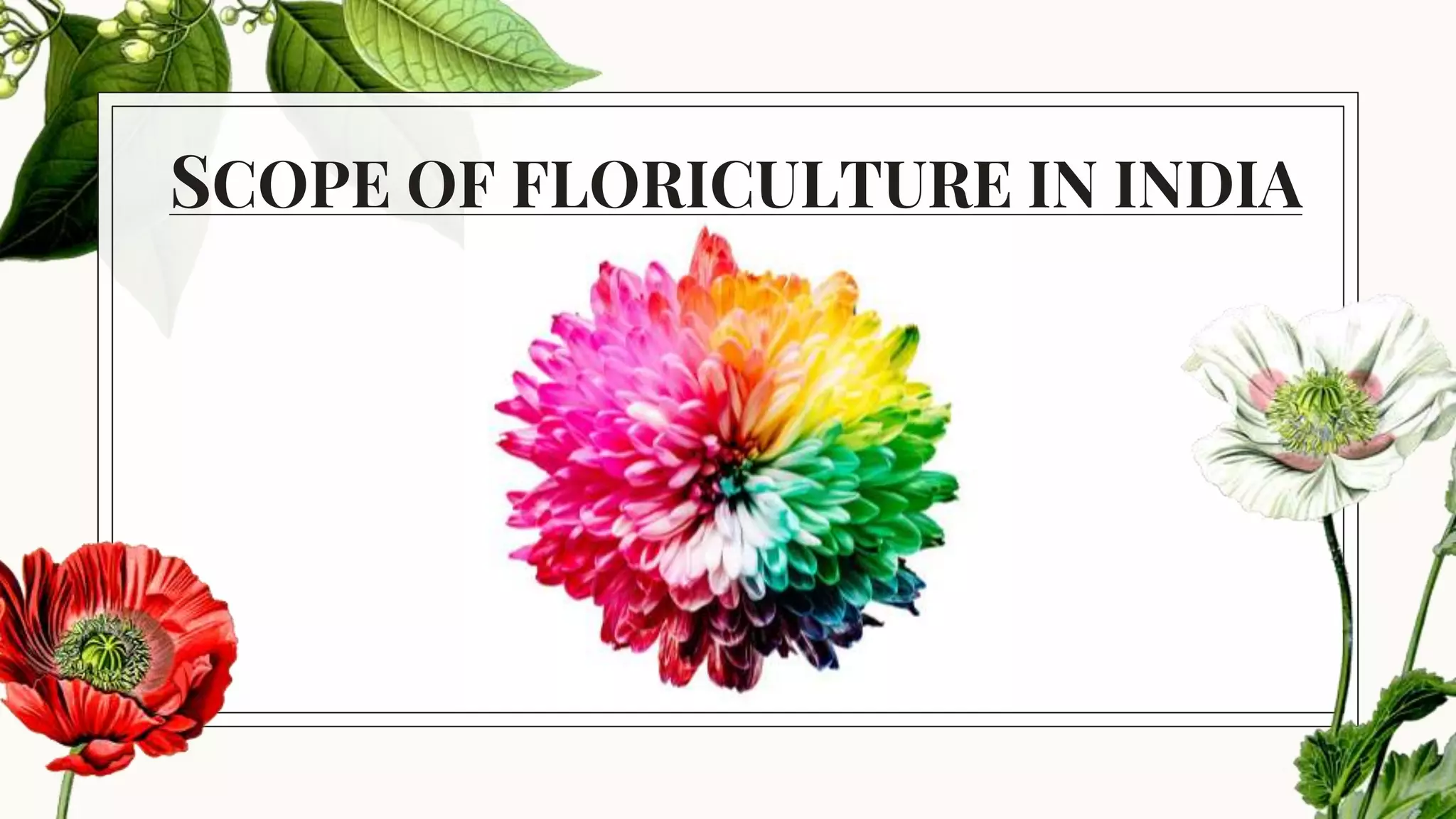 Importance and scope of floriculture | PPTX