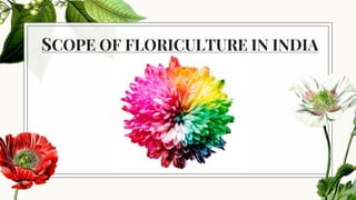 Importance and scope of floriculture | PPTX