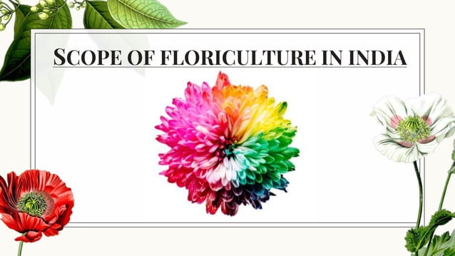 Importance and scope of floriculture | PPTX