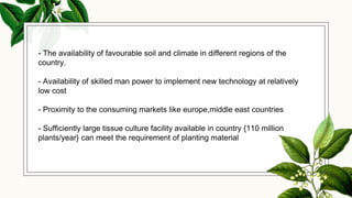 Importance and scope of floriculture | PPTX