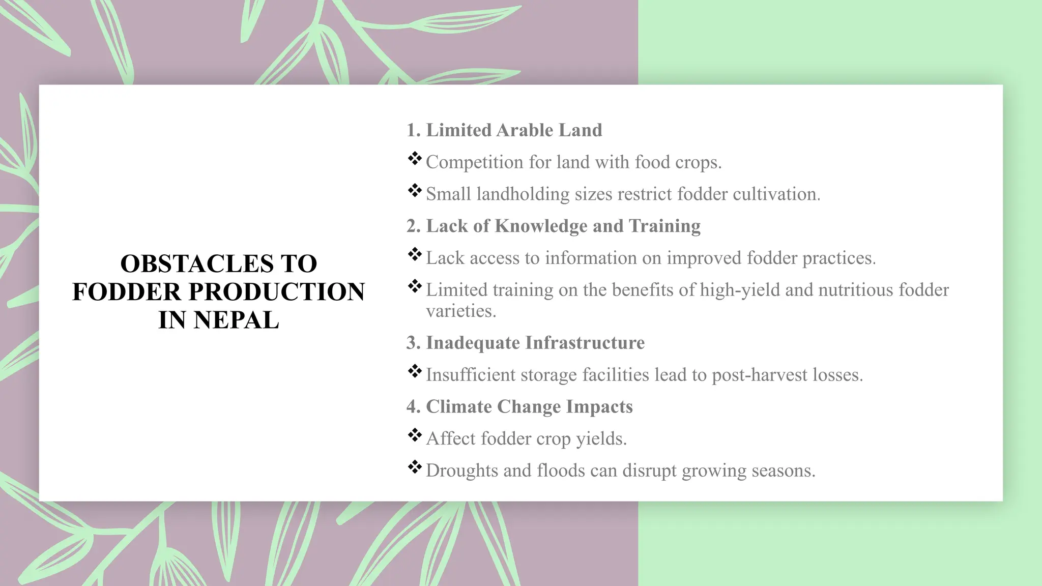 Importance and scope of fodder production in Nepal || Assistant Prof. Boby Basnet. | PPTX