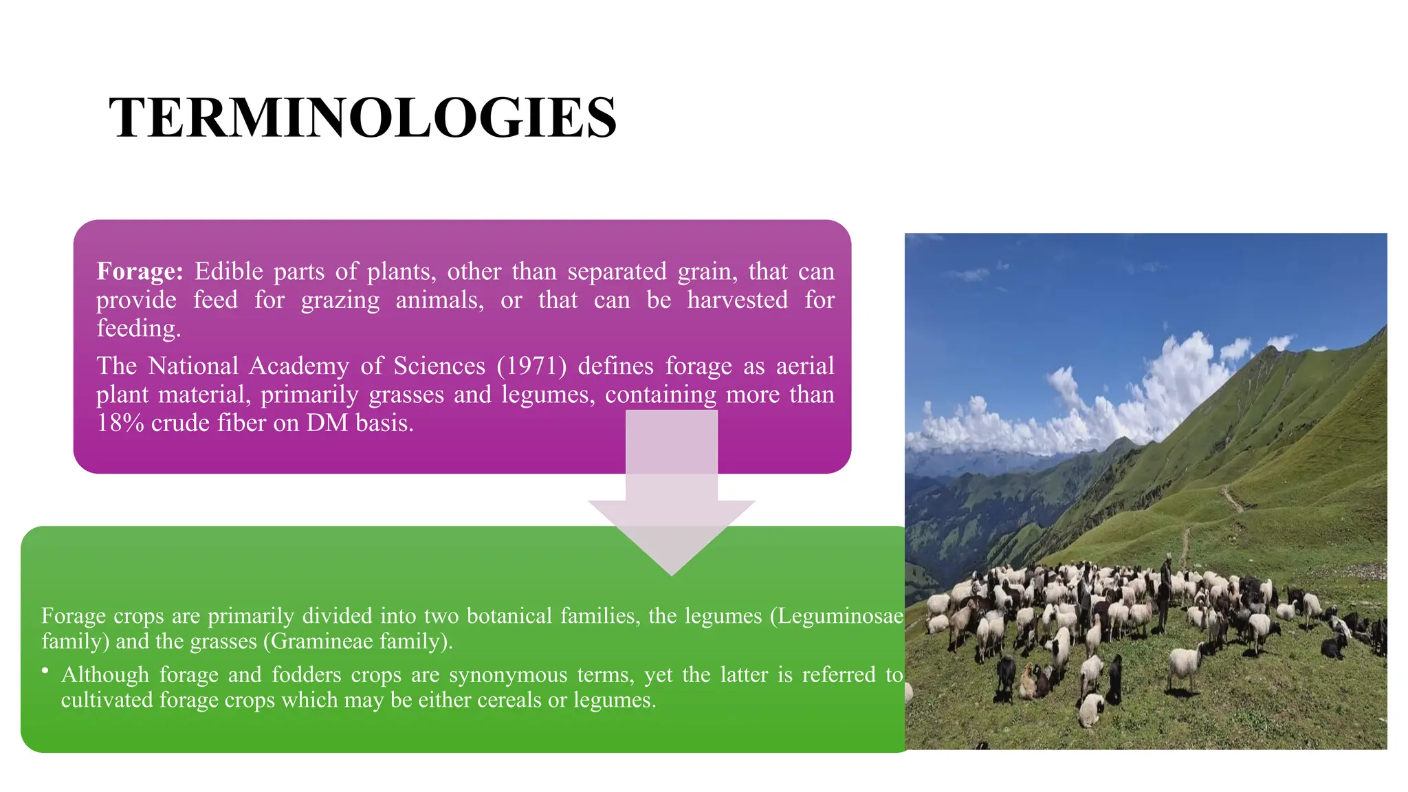Importance and scope of fodder production in Nepal || Assistant Prof. Boby Basnet. | PPTX