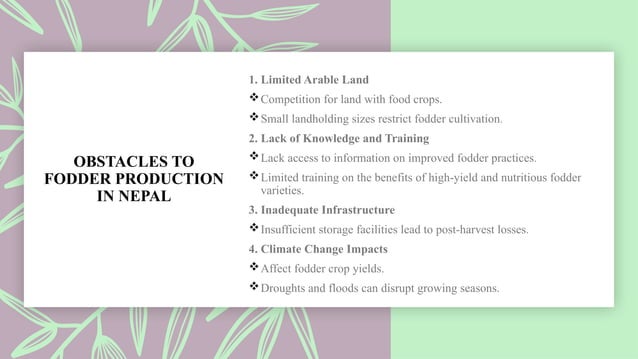 Importance and scope of fodder production in Nepal || Assistant Prof ...