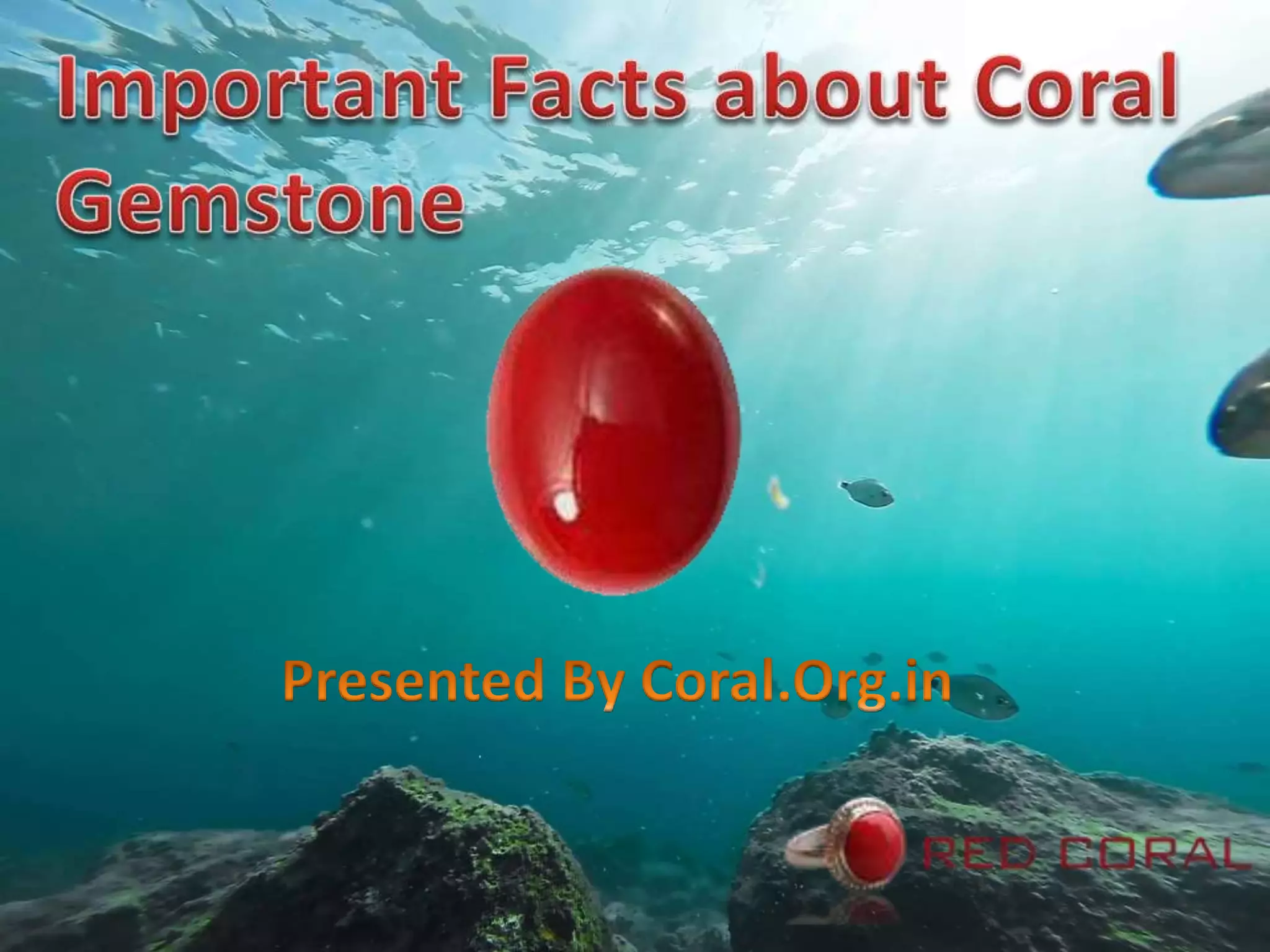 Importance fact about coral gemstone | PPTX