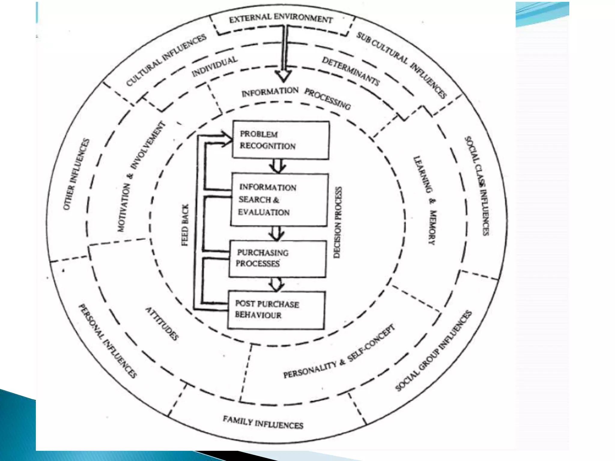 Importance & scope of Consumer Behaviour | PPTX