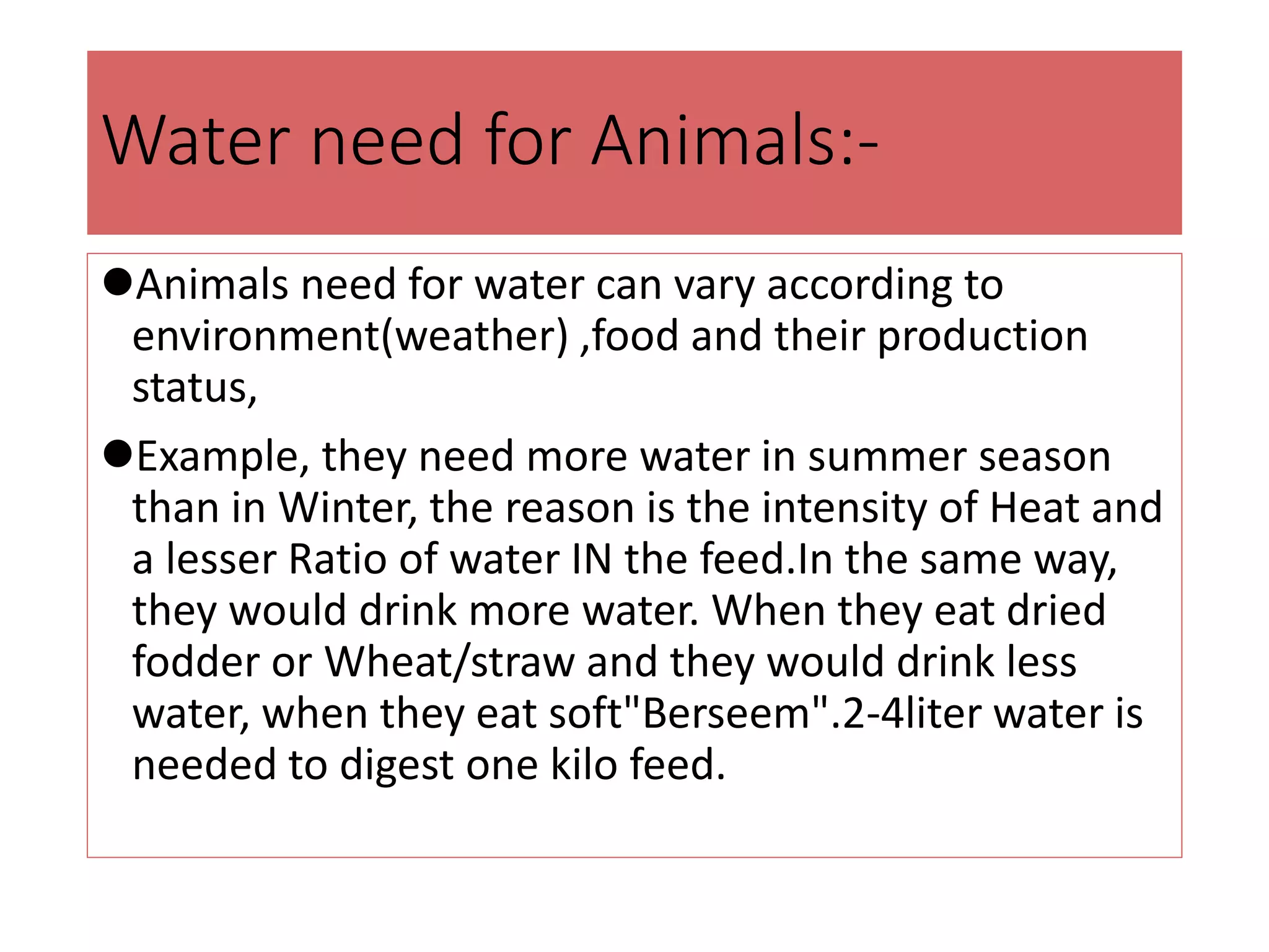 Importance of water | PPTX