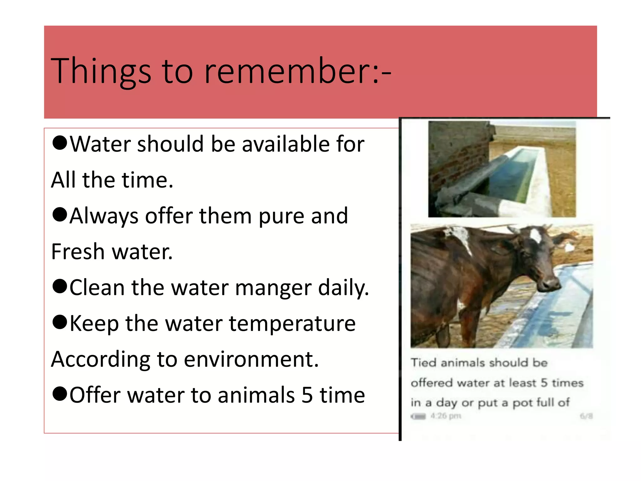 Importance of water | PPTX