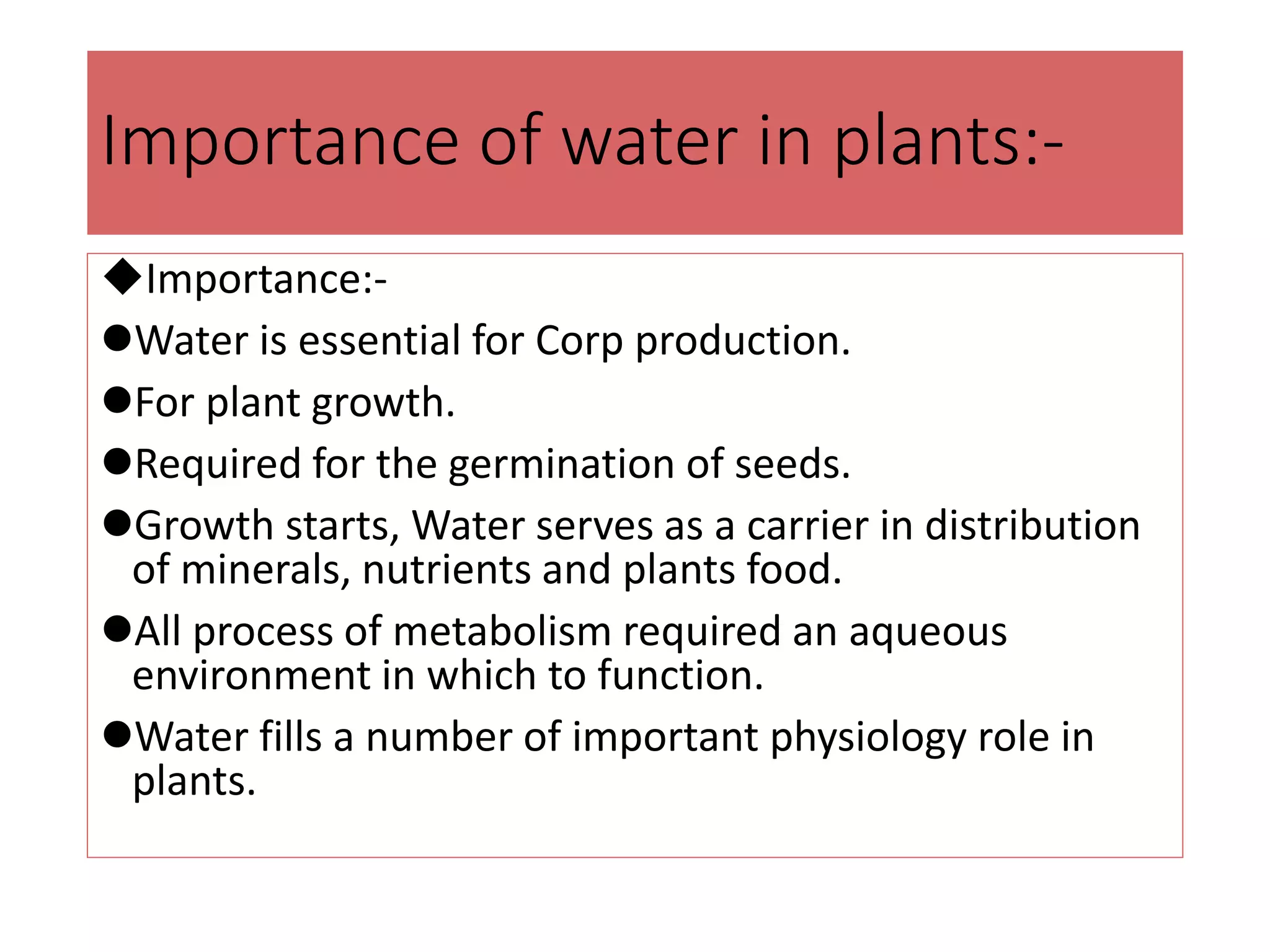 Importance of water | PPTX