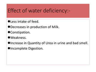 Importance of water | PPTX