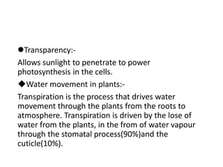 Importance of water | PPTX